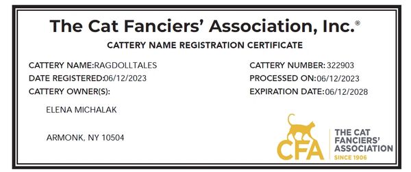 Ragdoll Kittens for Sale | Best Breeder | TICA Registered